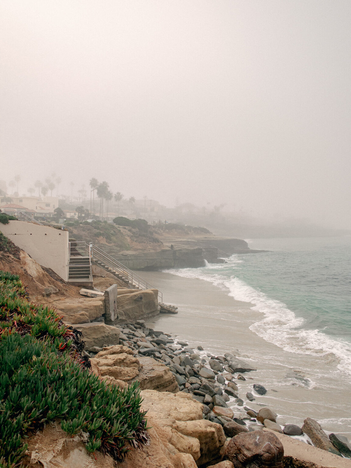 Wedding | Mehgan & Taylor Roberson - mollymurphyphotography.com